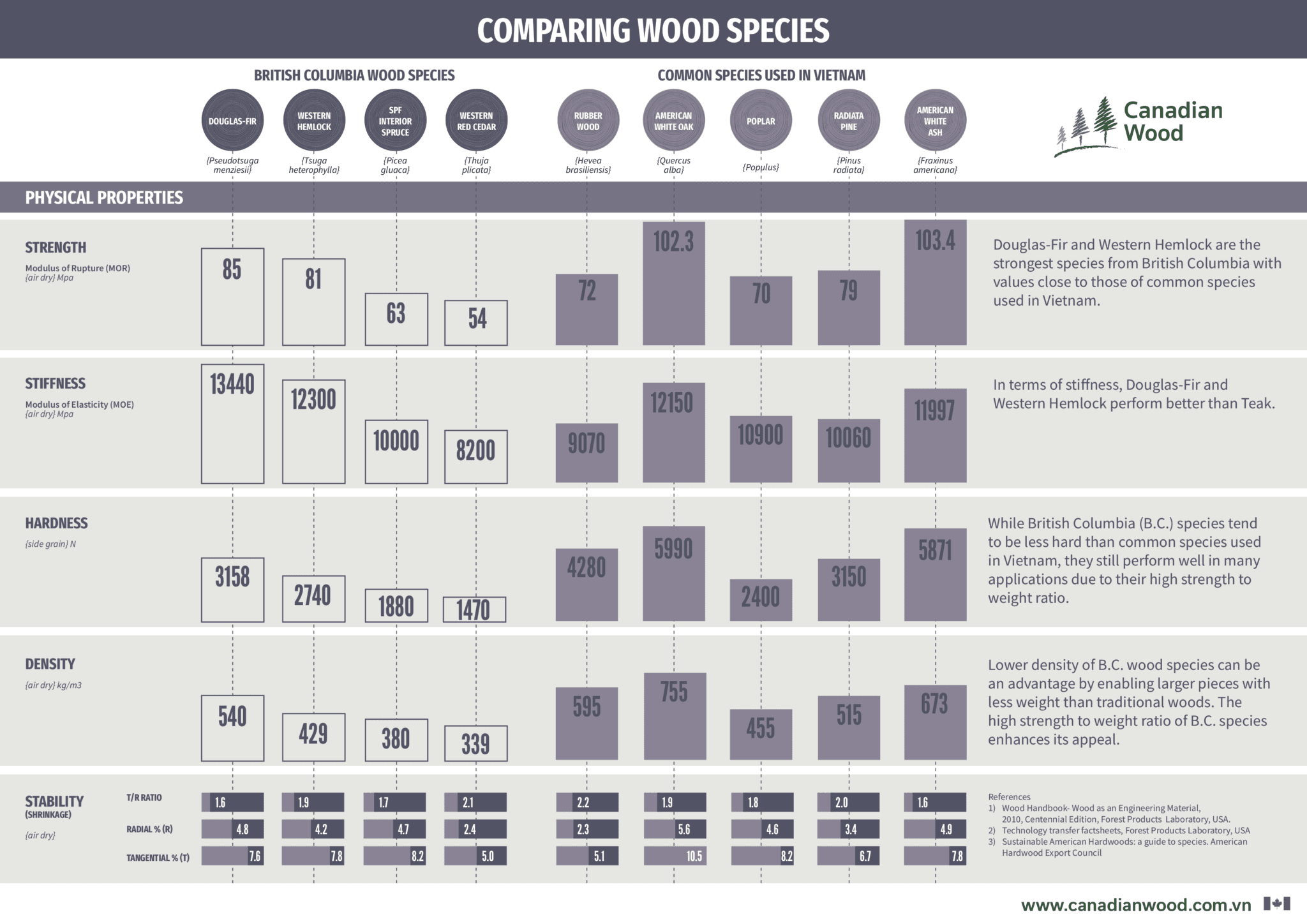 Canadian wood types and softwood lumber species | canadianwood.com.vn