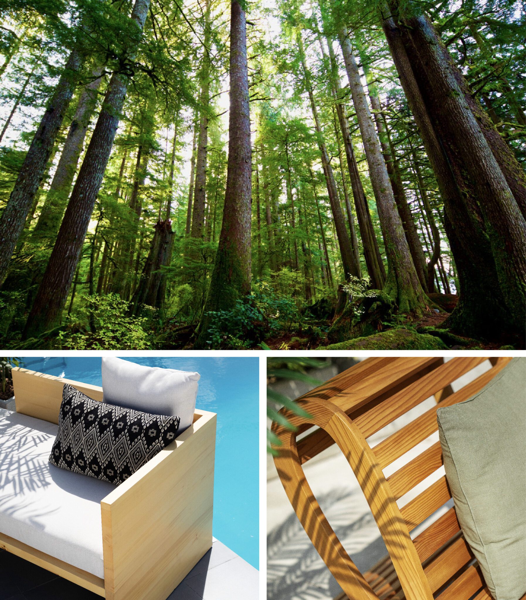 Chương Trình Trải Nghiệm Gỗ Canada | Canadian Wood